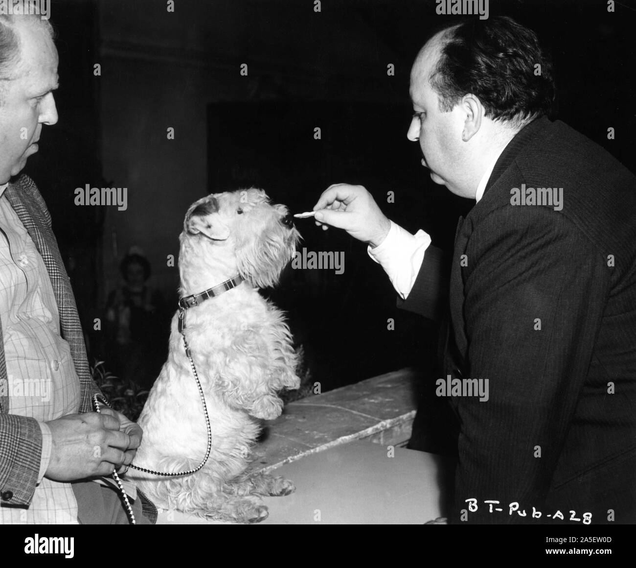 Director ALFRED HITCHCOCK with his Sealyham Terrier Johnny and dog ...