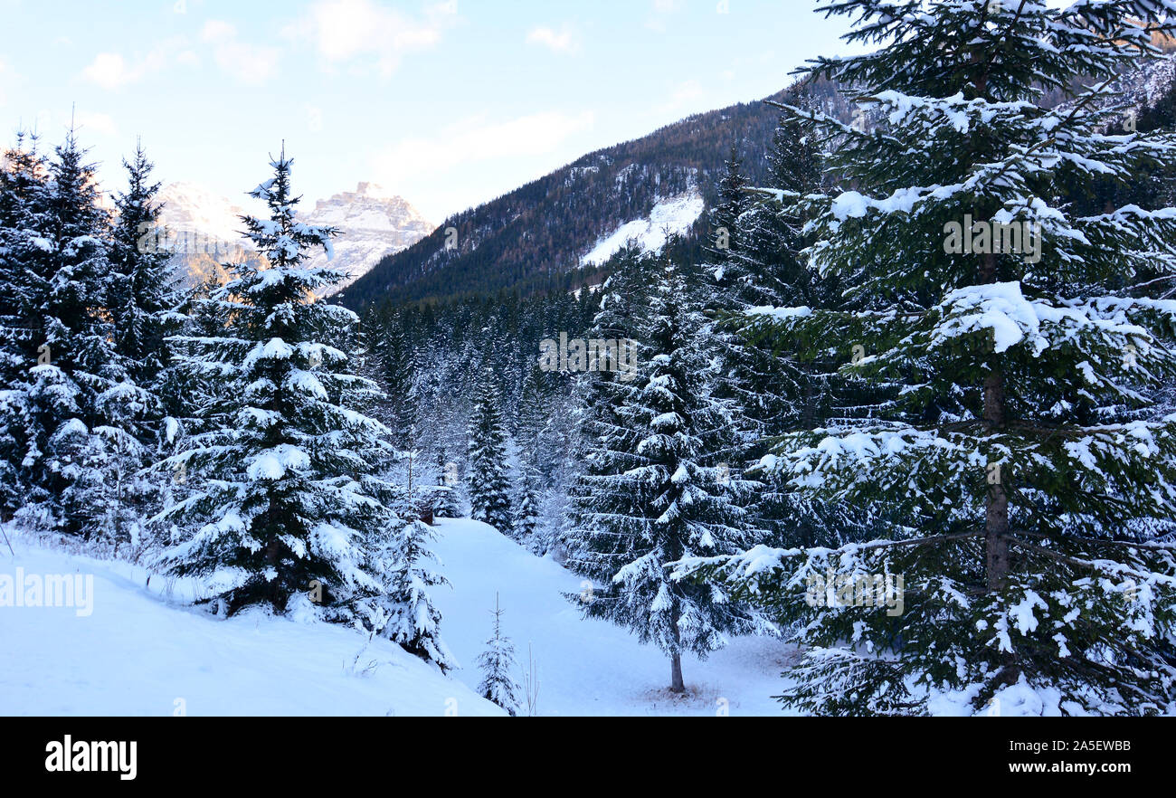 San candido, snow hi-res stock photography and images - Alamy