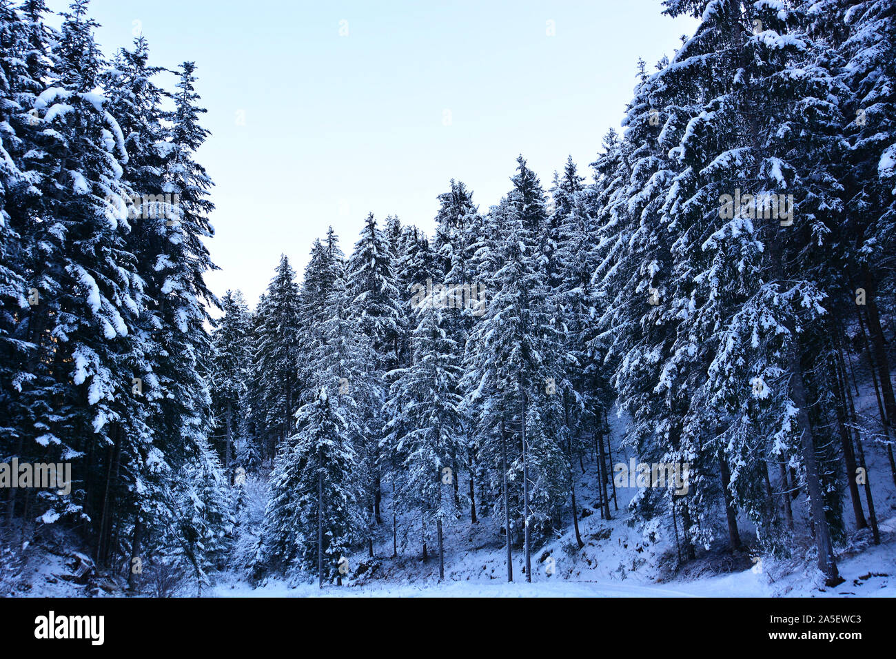 Corones lake hi-res stock photography and images - Alamy