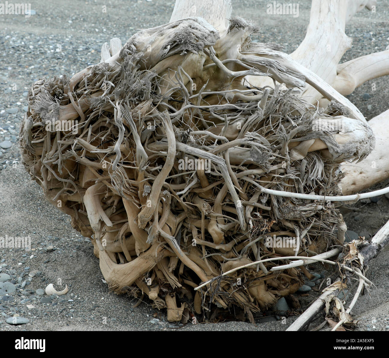 Flotsam beachcombing hi-res stock photography and images - Alamy