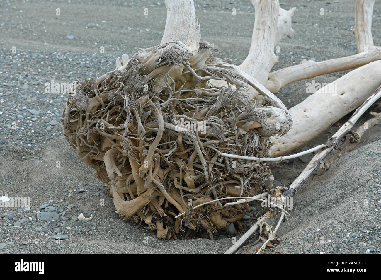 Flotsam beachcombing hi-res stock photography and images - Alamy