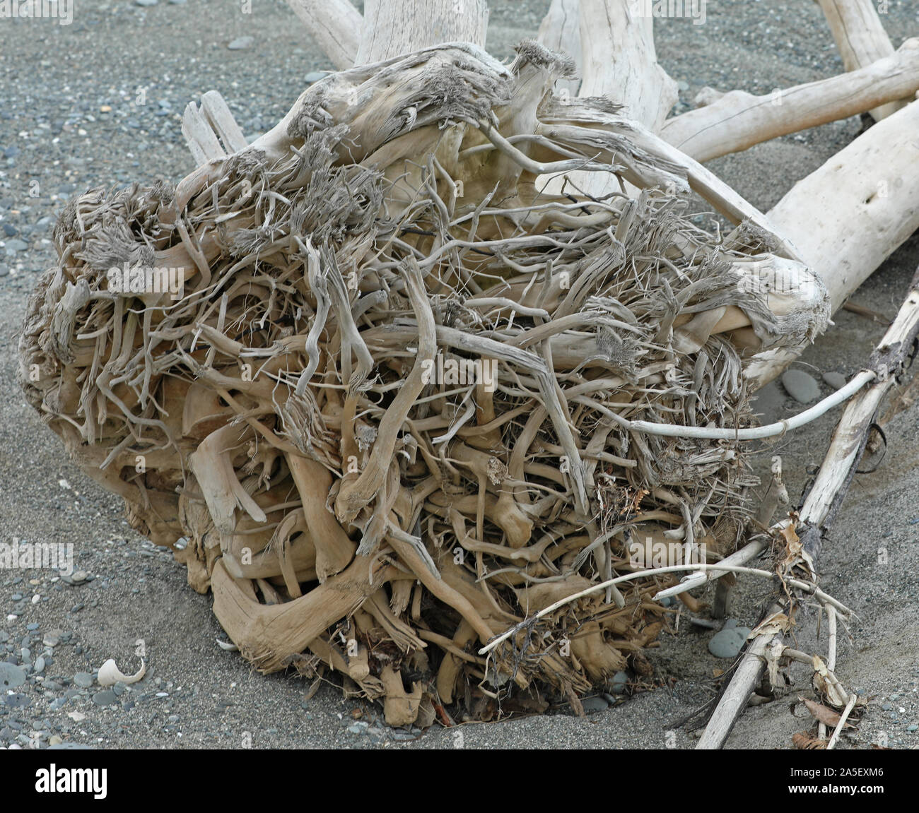Flotsam beachcombing hi-res stock photography and images - Alamy