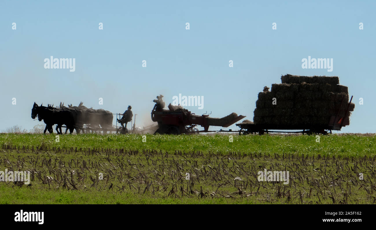 Farm work in Amish Country Stock Photo - Alamy