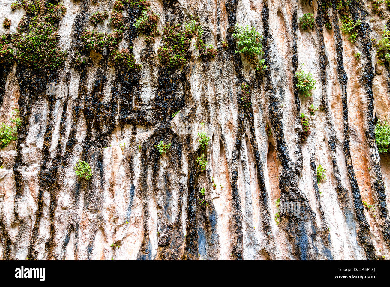 Red sandstone stone wall with moss growth hi-res stock photography and ...