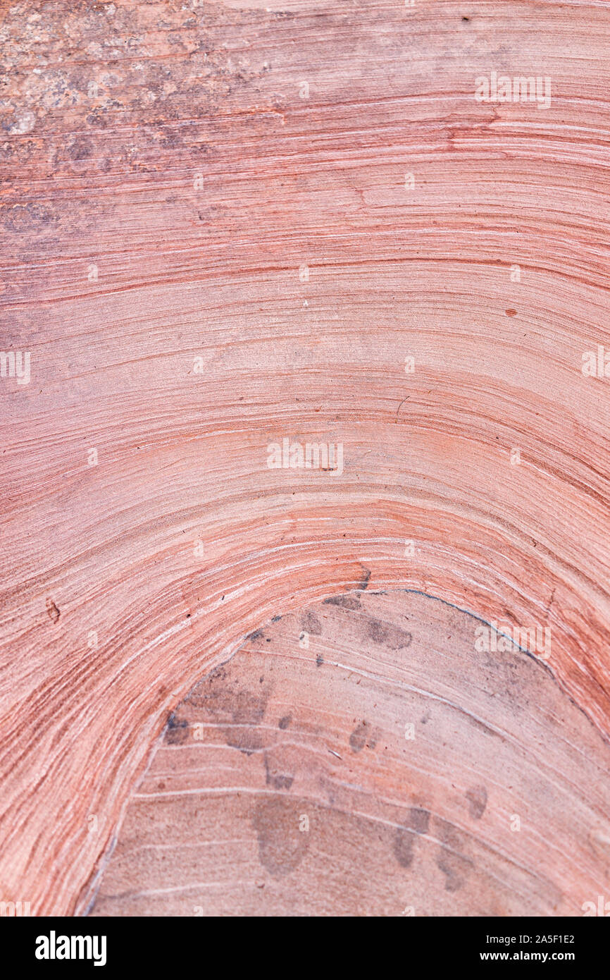 Zion National Park in Utah on Gifford Canyon trail with vertical ...