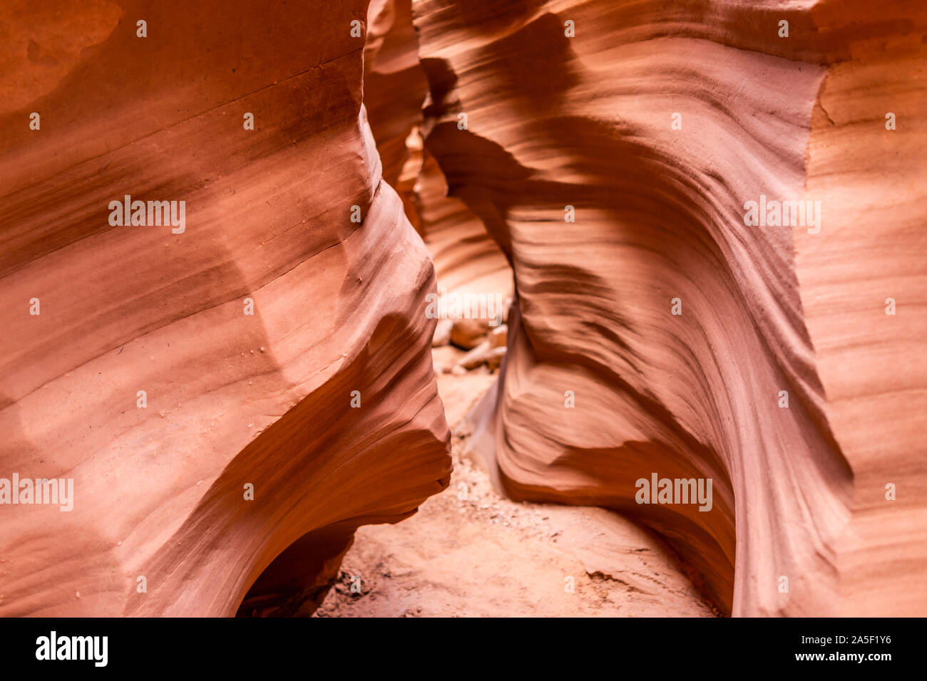 Exploring lake powell hi-res stock photography and images - Alamy
