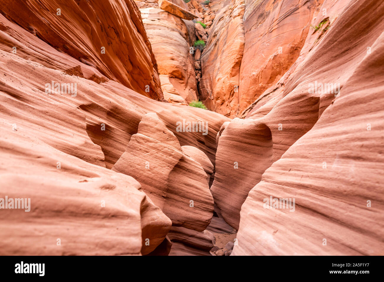 Orange red wave shape sandstone abstract formations pattern of rocks ...