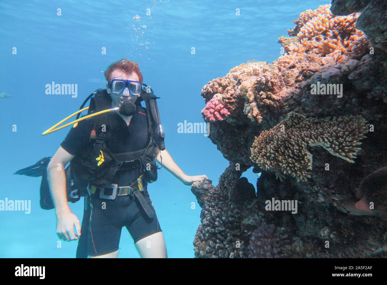 Man is swiming under the sea water. Travel lifestyle, water sport ...