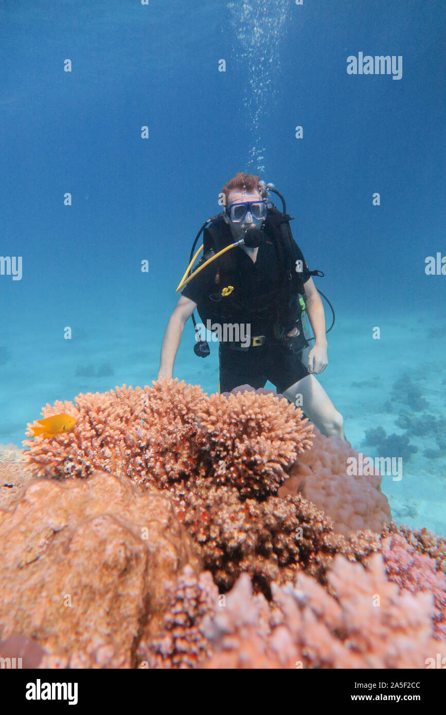 Man is swiming under the sea water. Travel lifestyle, water sport ...