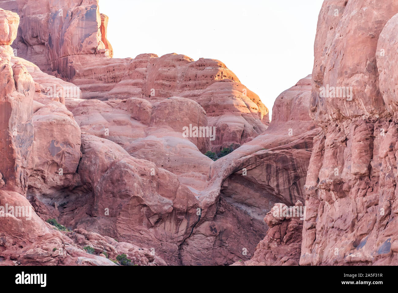 Double formation hi-res stock photography and images - Alamy