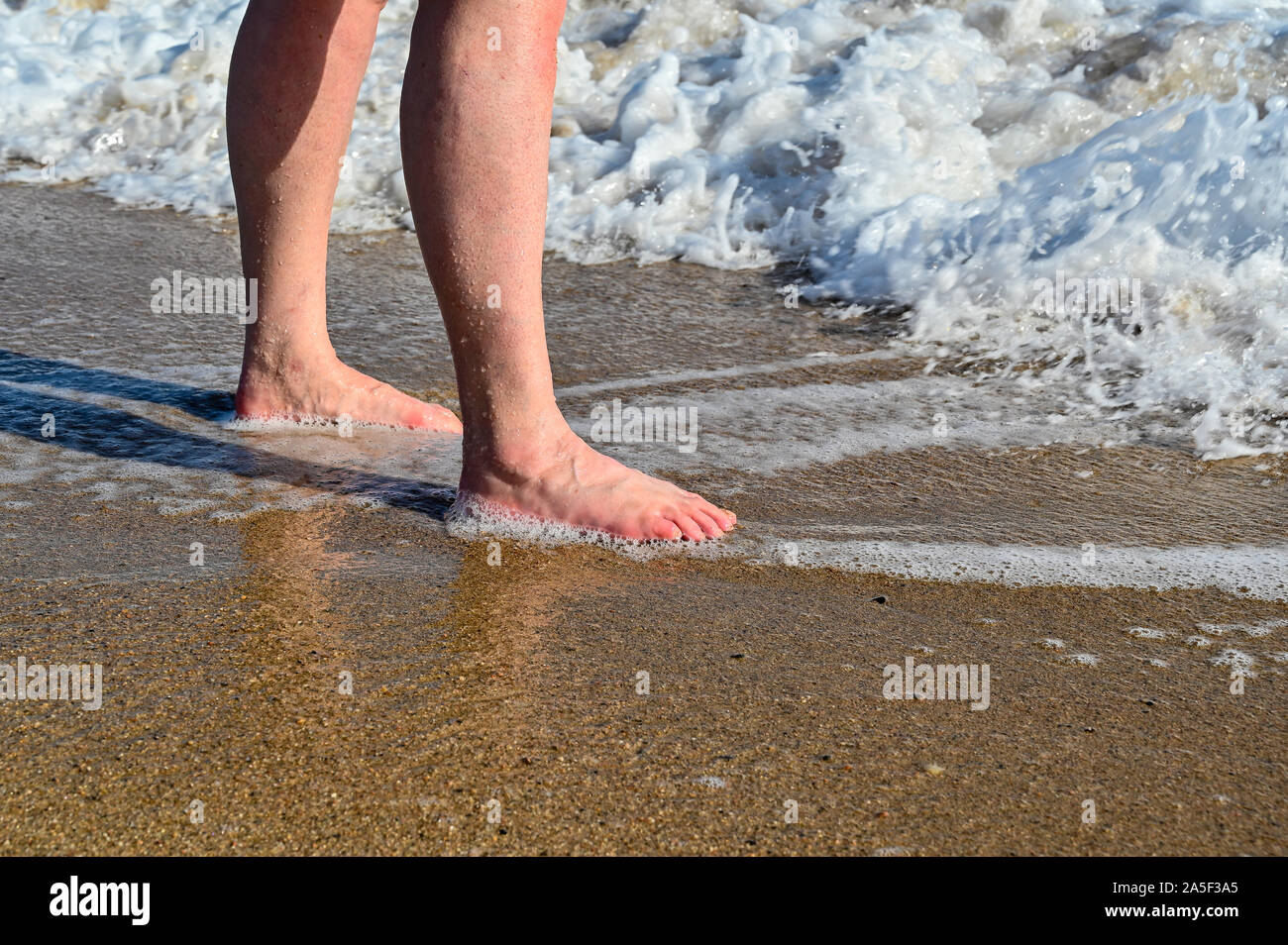 human standing in water on a sand beach Stock Photo - Alamy