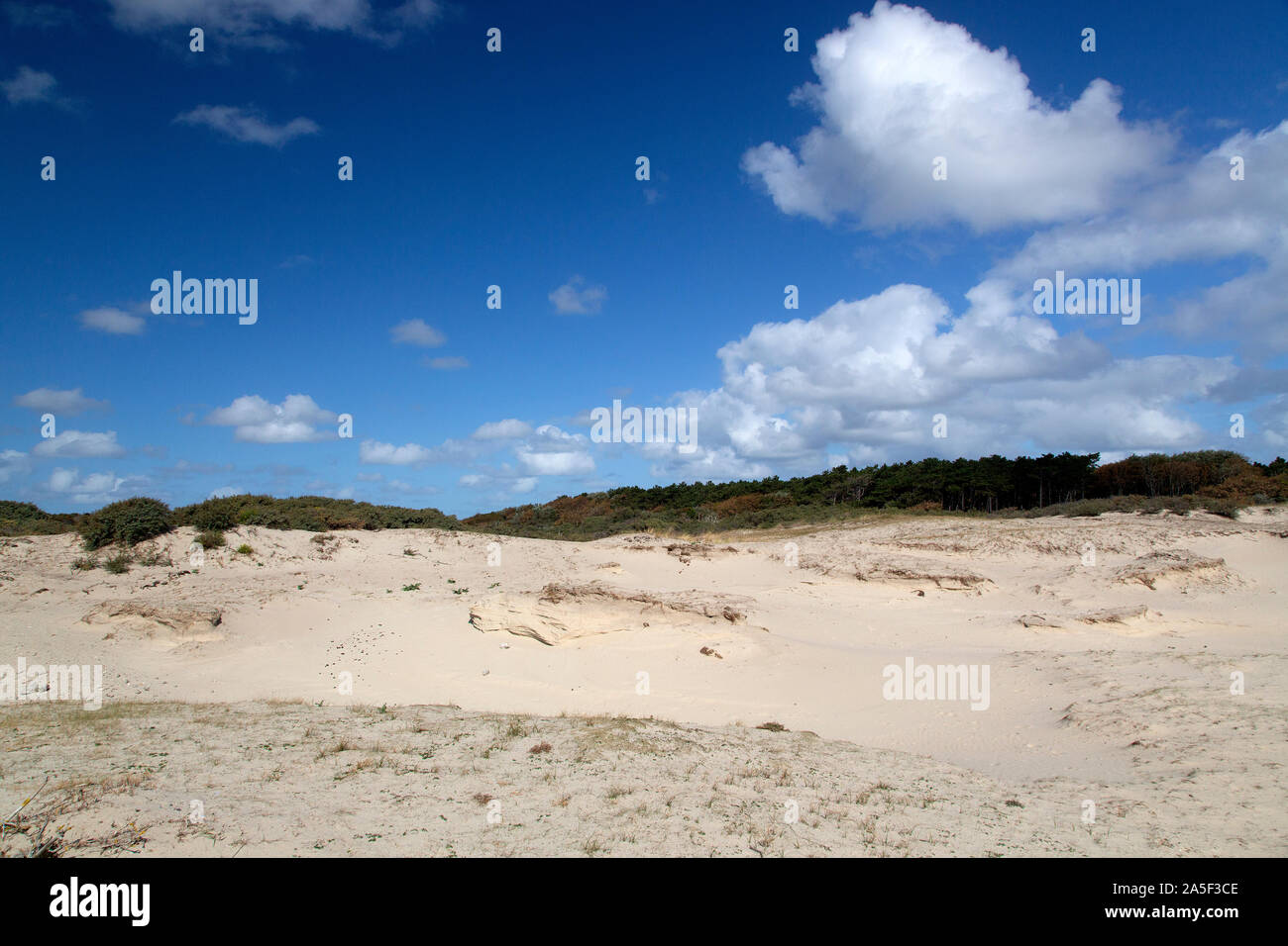Sand drift in Dutch dunes; Zeeland, Netherlands Stock Photo - Alamy