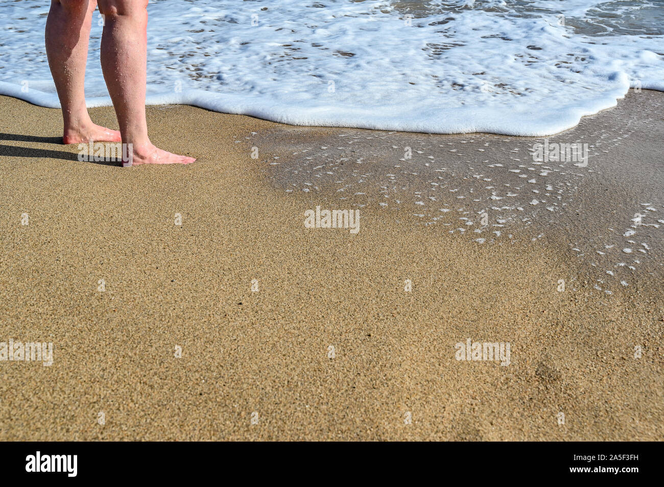 human standing in water on a sand beach Stock Photo - Alamy