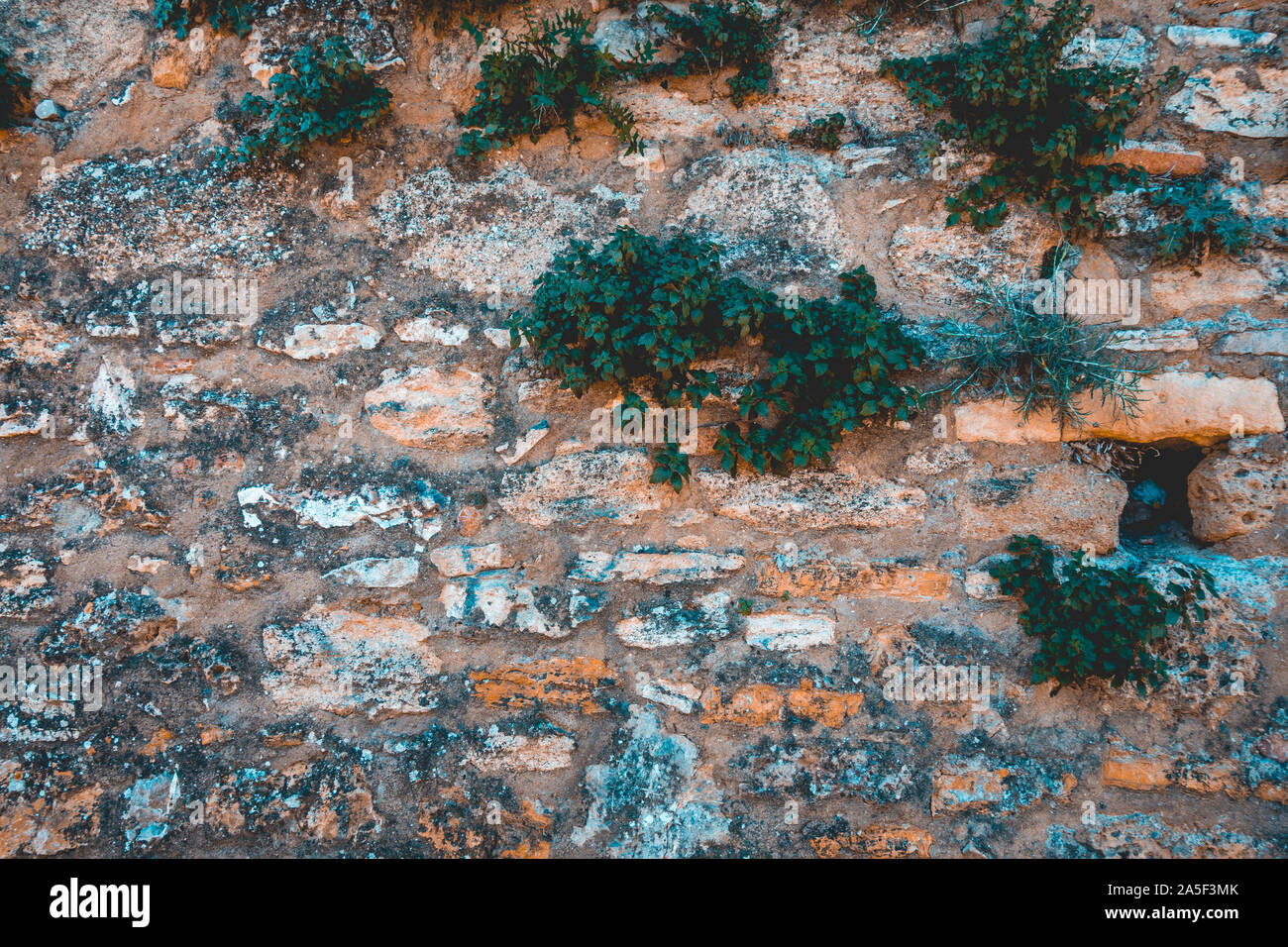 stone facade texture for photo backgrounds Stock Photo - Alamy