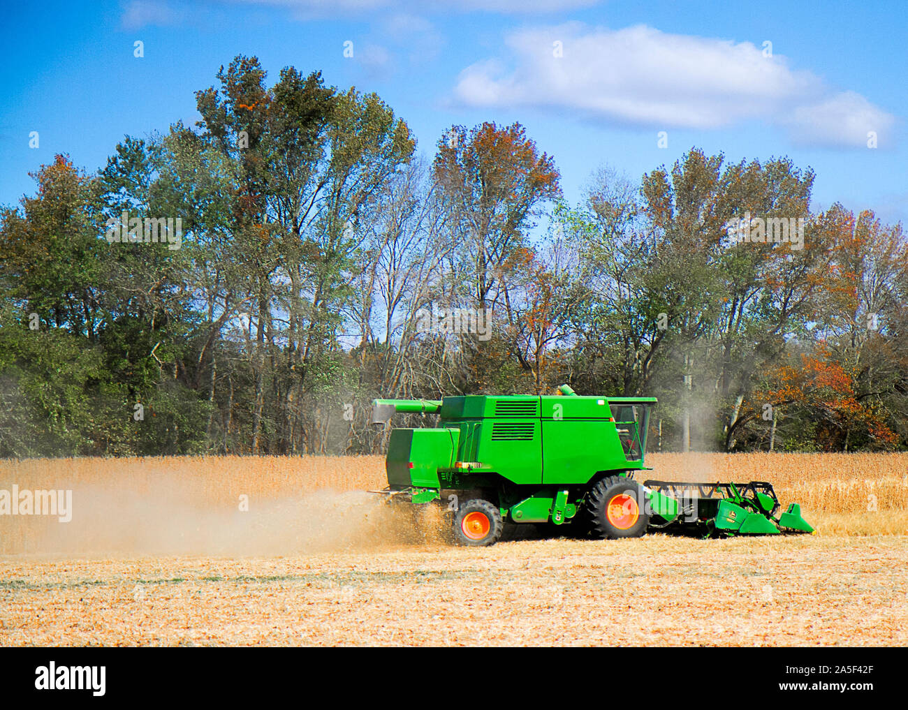 Farmland crops being harvested in late fall. Fields of crops Stock ...