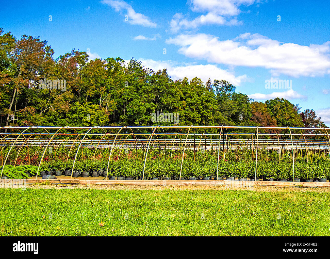 Irrigation system set up in farmland to water plants and crops for ...