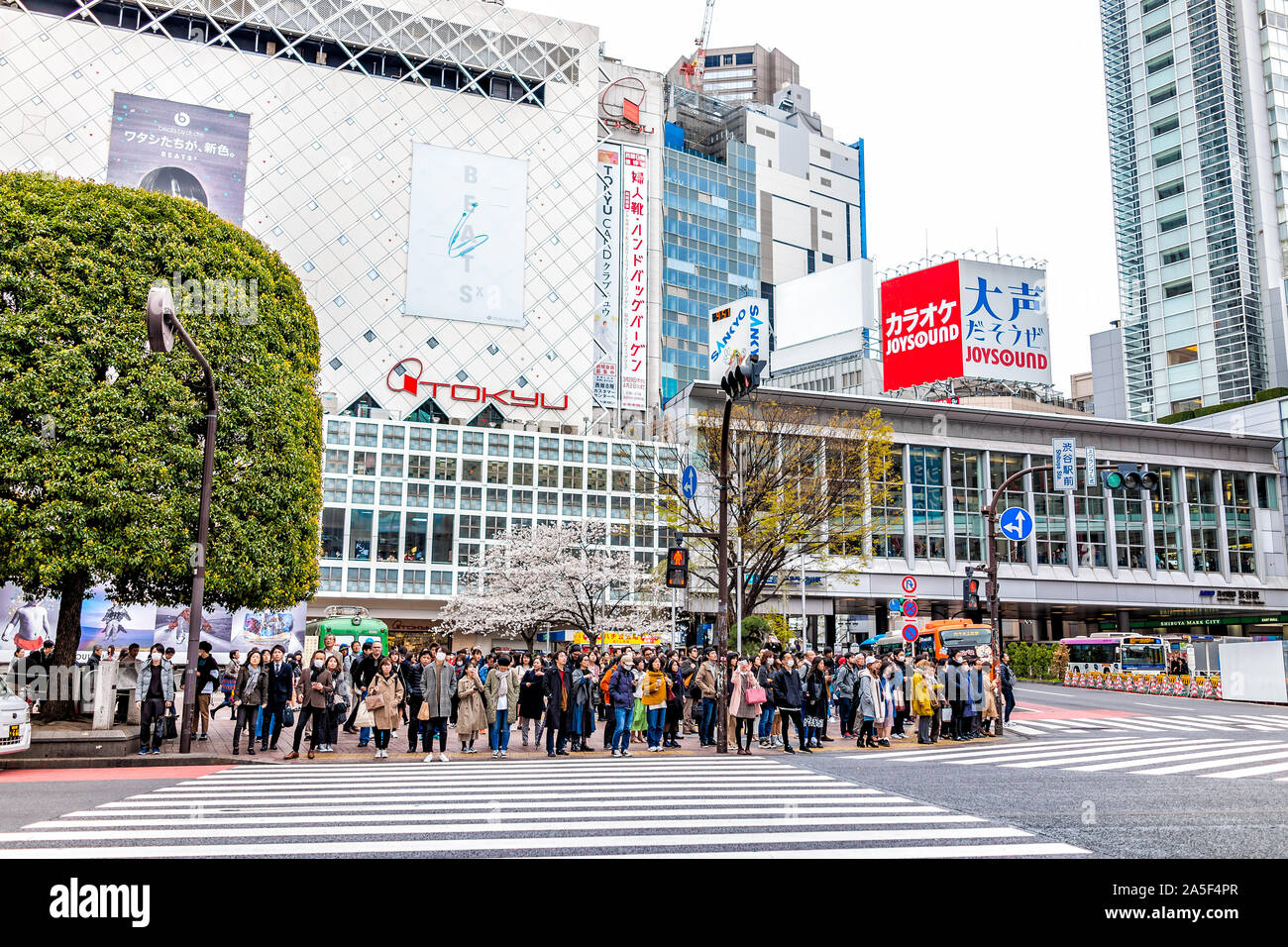 Tokyo, Japan - March 28, 2019: Famous Shibuya crossing crosswalk in ...