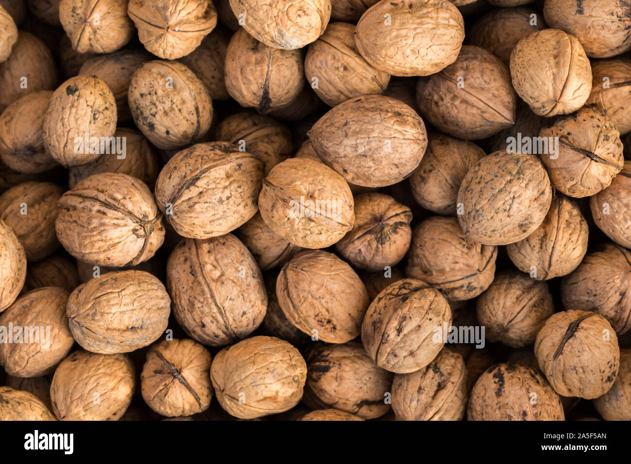 Walnut nut texture High Resolution Stock Photography and Images - Alamy