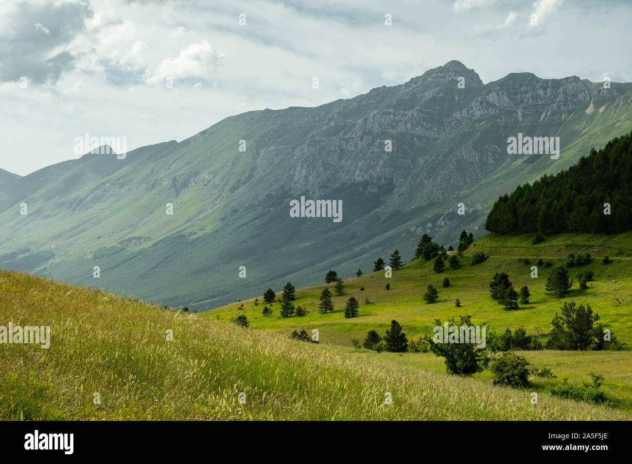 Green tonalities hi-res stock photography and images - Alamy
