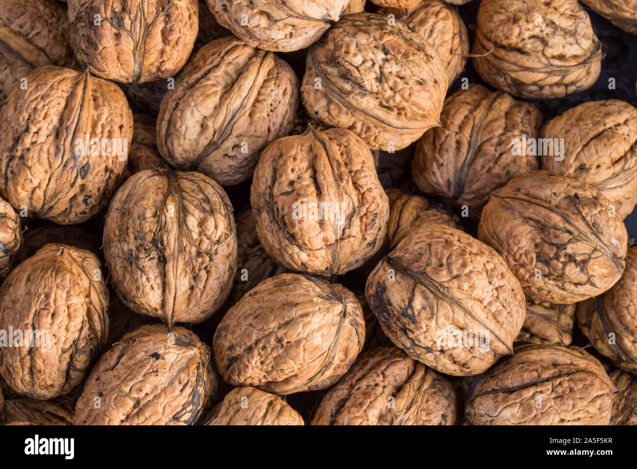 Walnuts. Whole walnuts background. Many walnuts close-up. Walnut ...