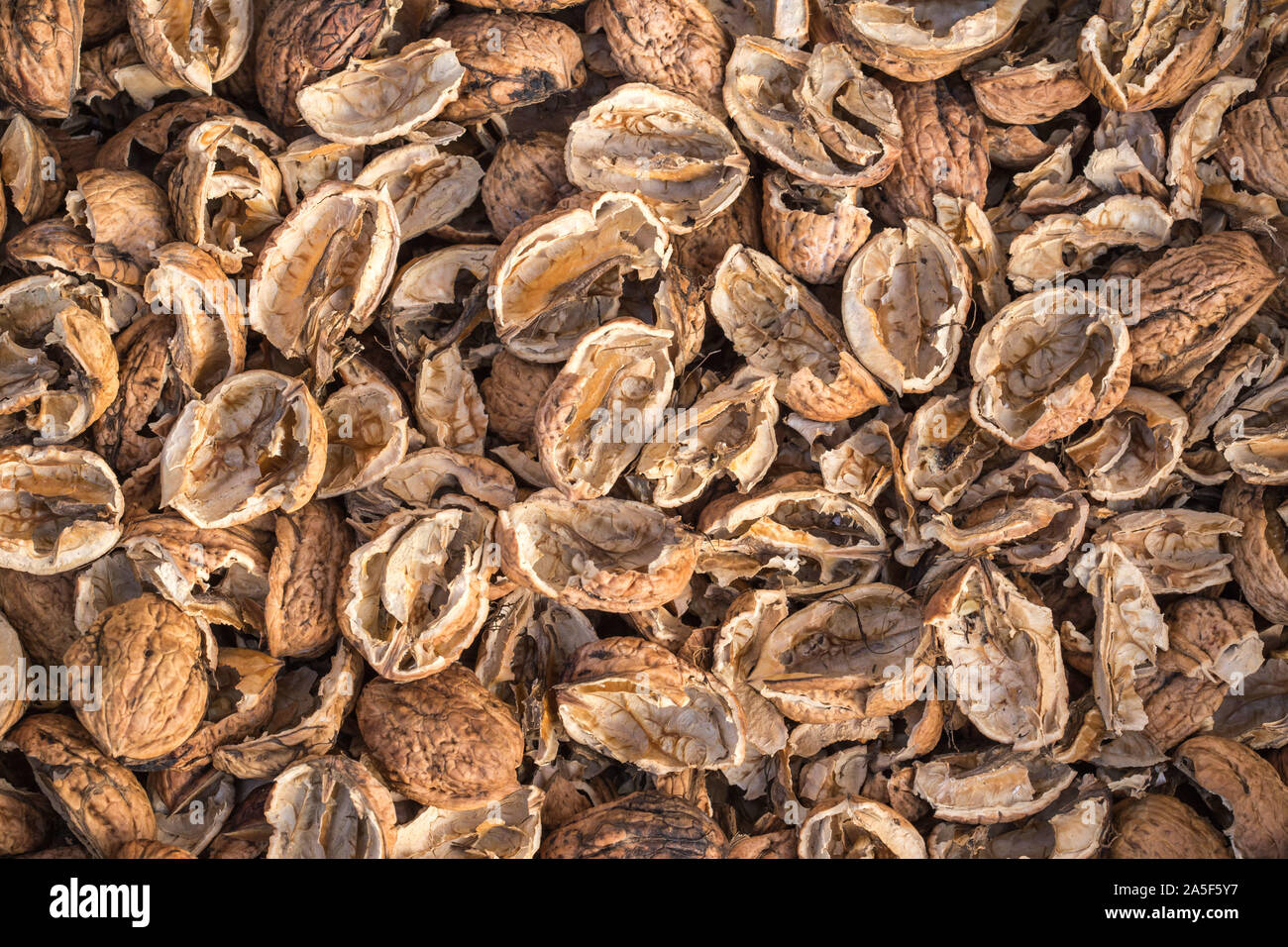 Broken walnut shells. Pieces of nutshells. Nutshell texture Stock Photo ...