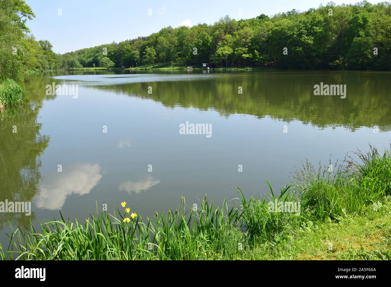 Vas county hi-res stock photography and images - Alamy