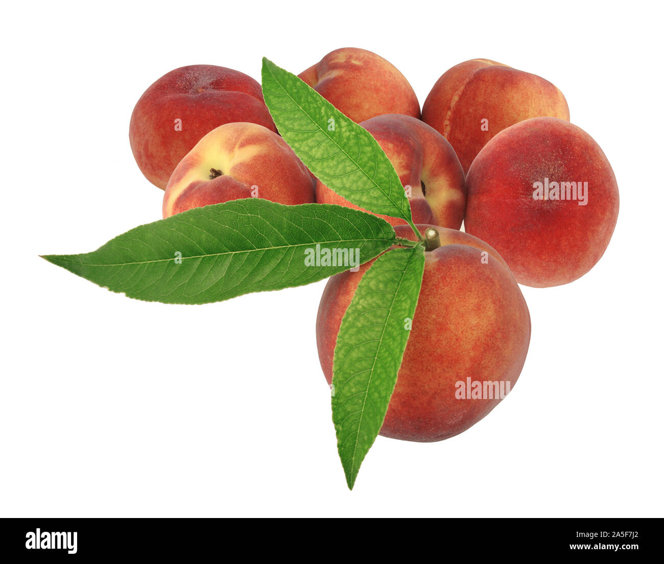 Ripe juicy nectarine leaves hi-res stock photography and images - Alamy
