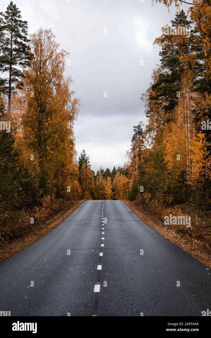 Beautiful moody scene of highway through Autumn forest Stock Photo - Alamy