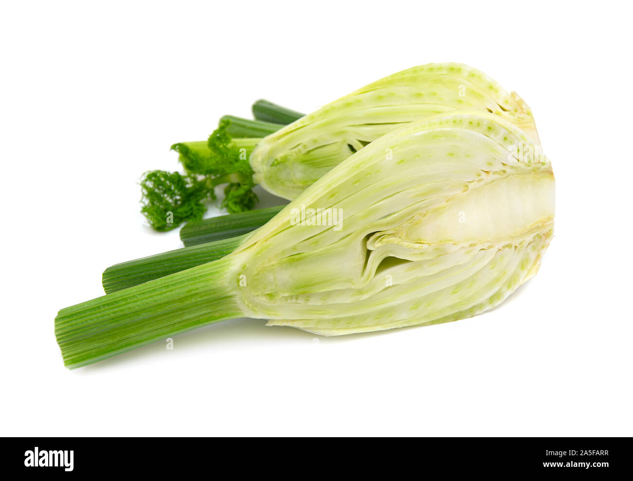 Raw Fennel. Fresh Fennel Bulb isolated on white Background, top View ...