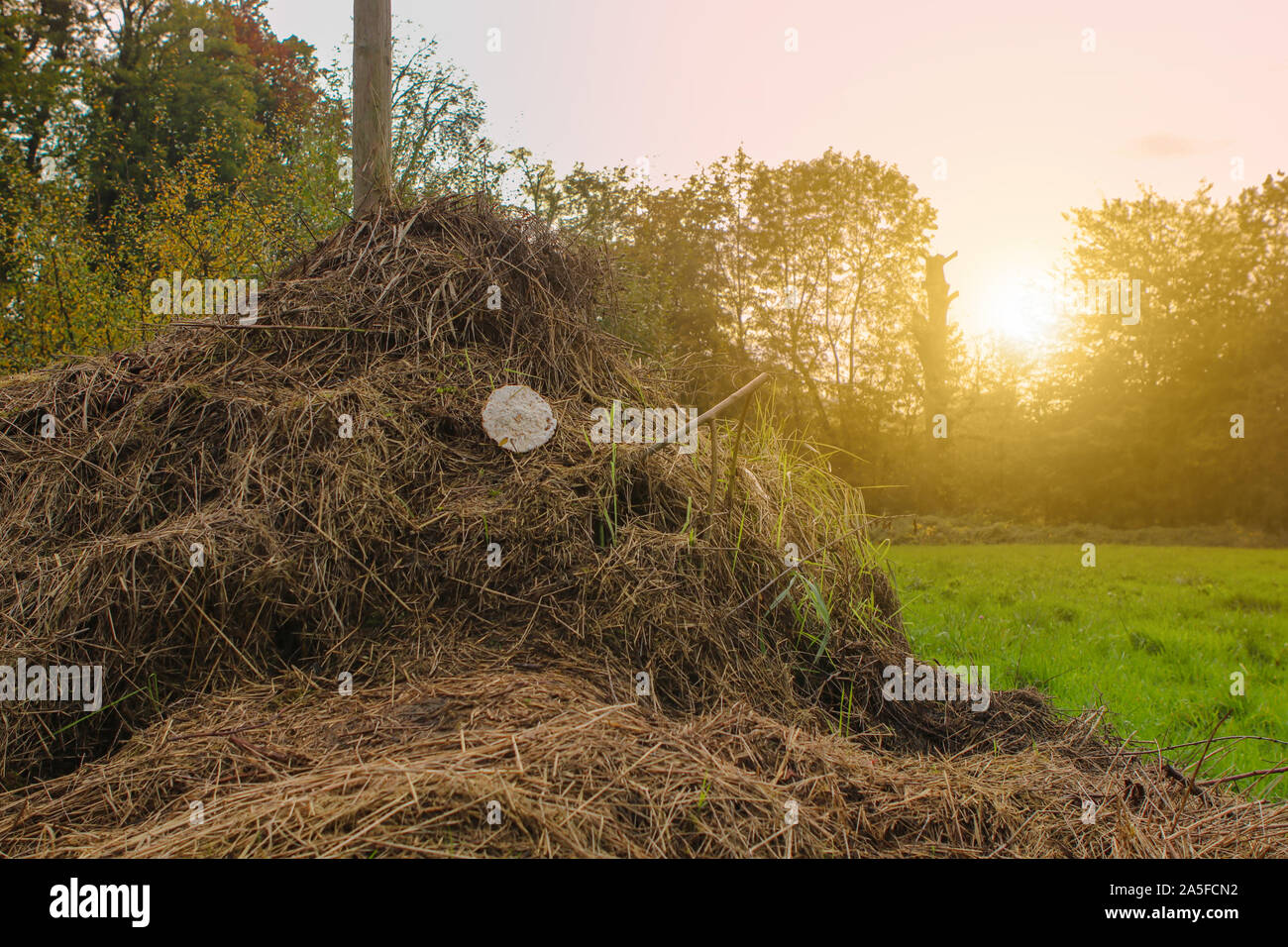composting in filed to gain organic fertilizer. One one to protect our ...
