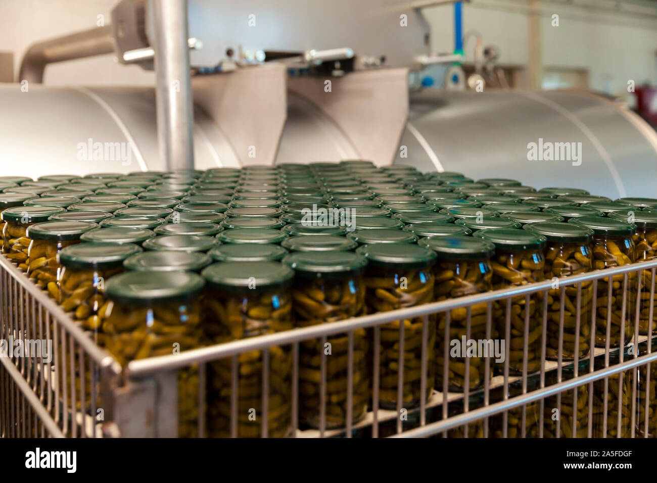 Cucumber pickle factory hi-res stock photography and images - Alamy