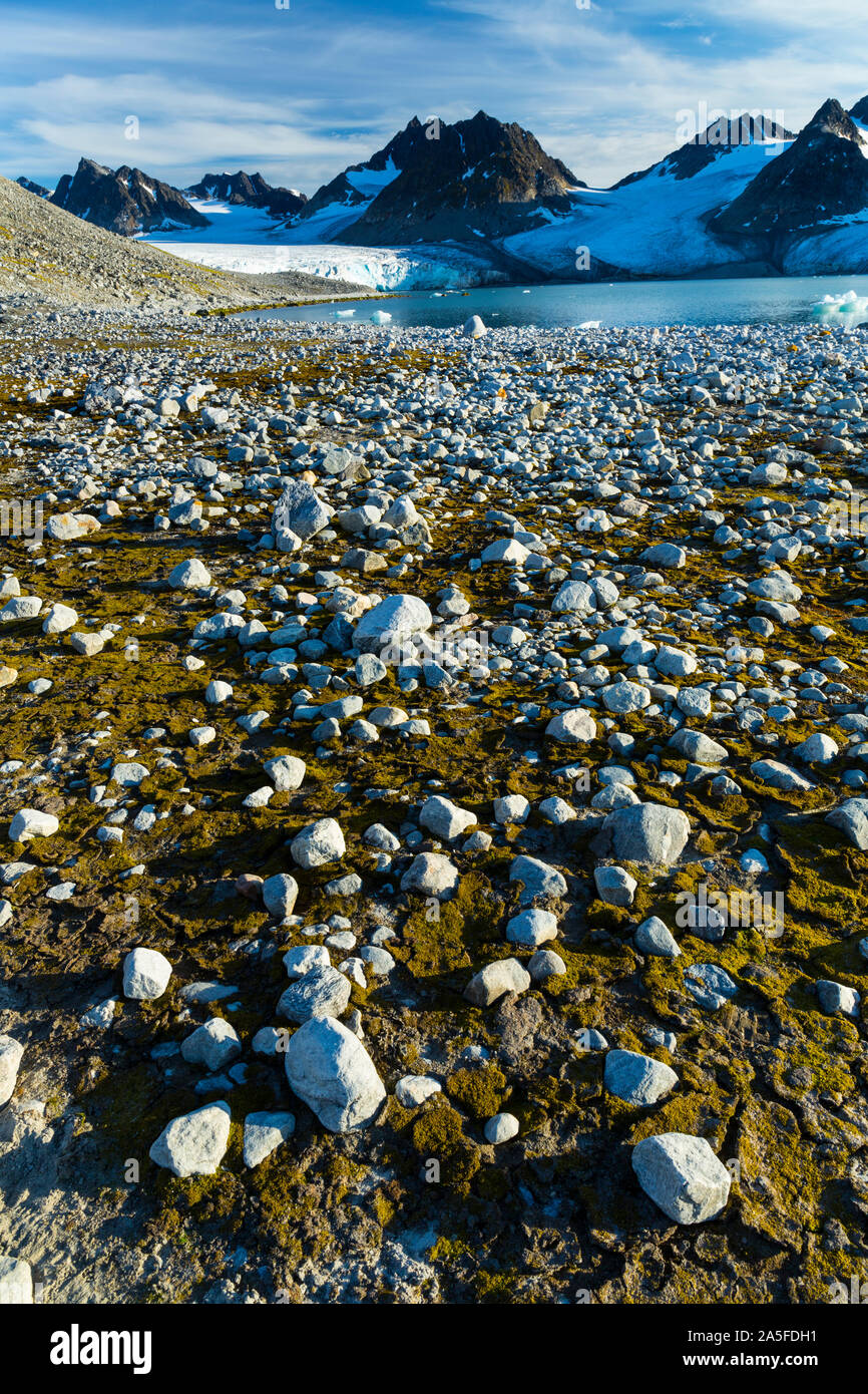 Svalbard Islands, Artic Ocean, Norway, Europe Stock Photo - Alamy