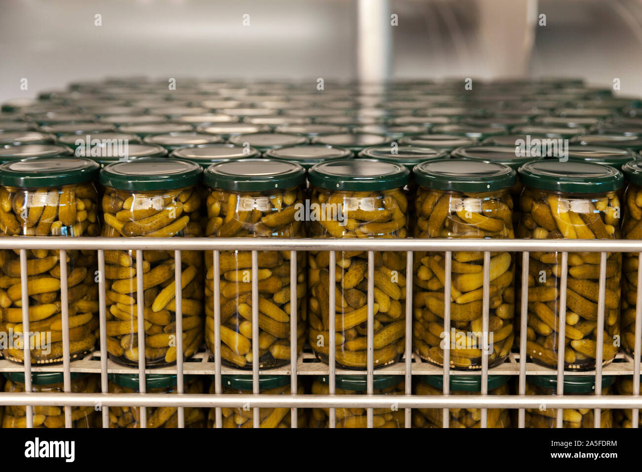 Cucumber pickle factory hi-res stock photography and images - Alamy