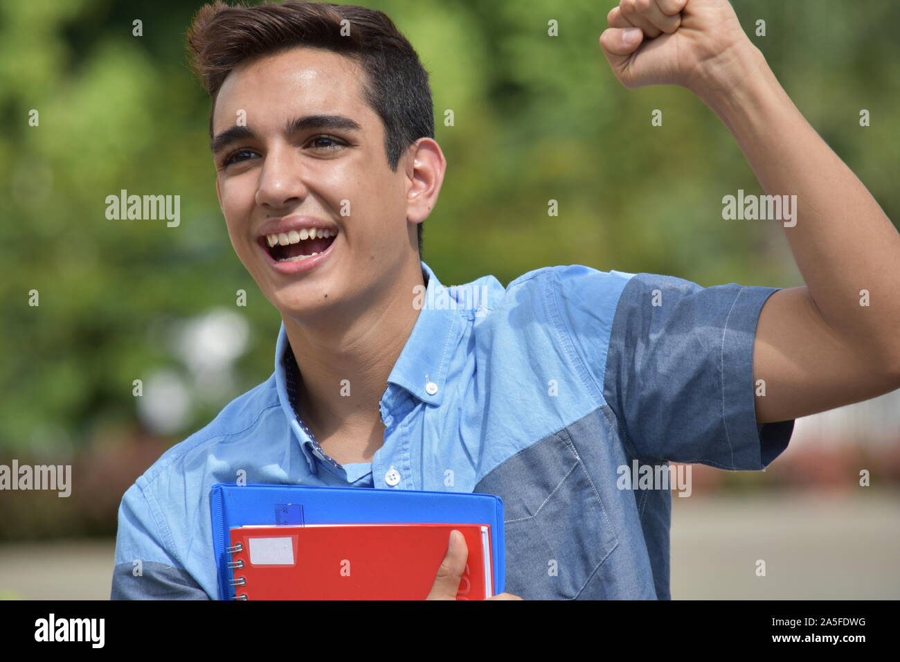 Successful Boy Student Stock Photo - Alamy