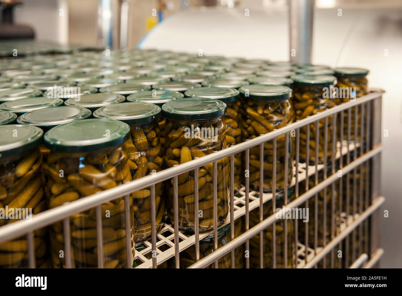 Cucumber pickle factory hi-res stock photography and images - Alamy