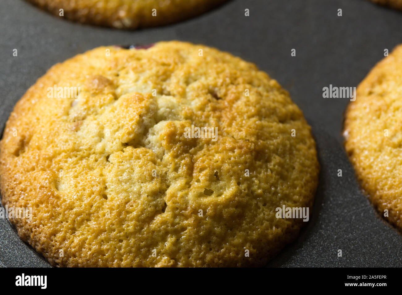 muffins with blueberry Stock Photo - Alamy