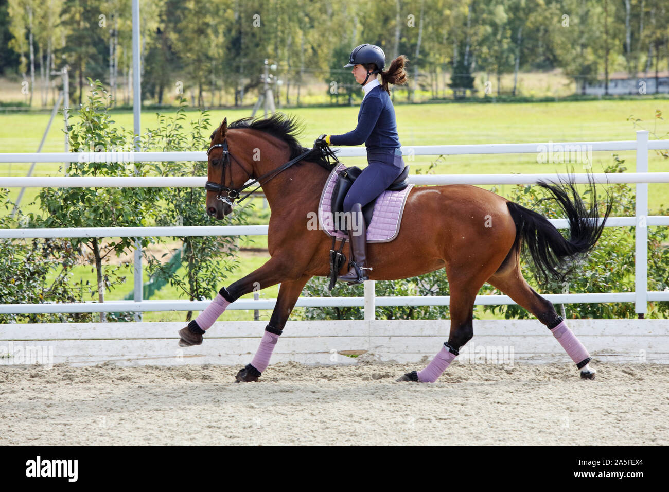 Horse rider and moon hi-res stock photography and images - Alamy