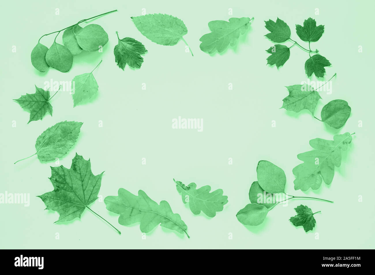Autumn flat lay background with leaves on green Stock Photo - Alamy