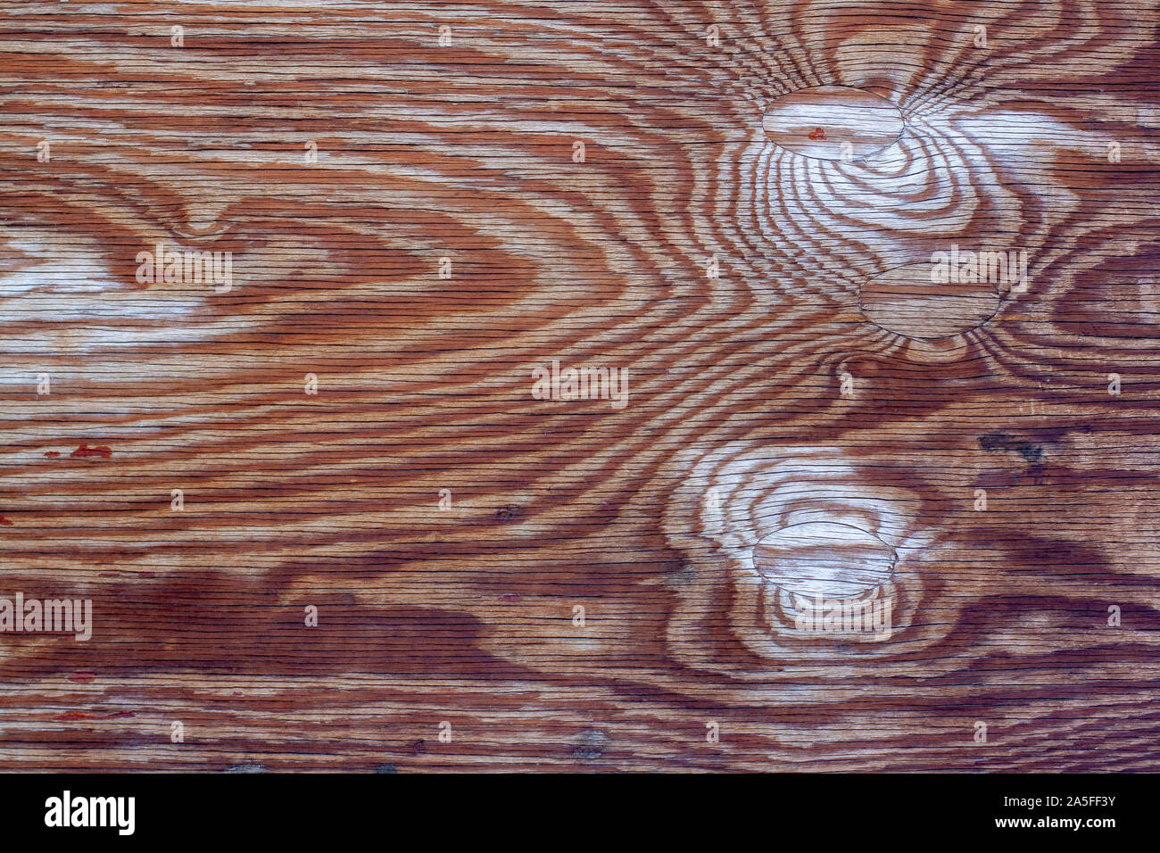 Natural wood texture with a beautiful pattern and many knots. Damage ...