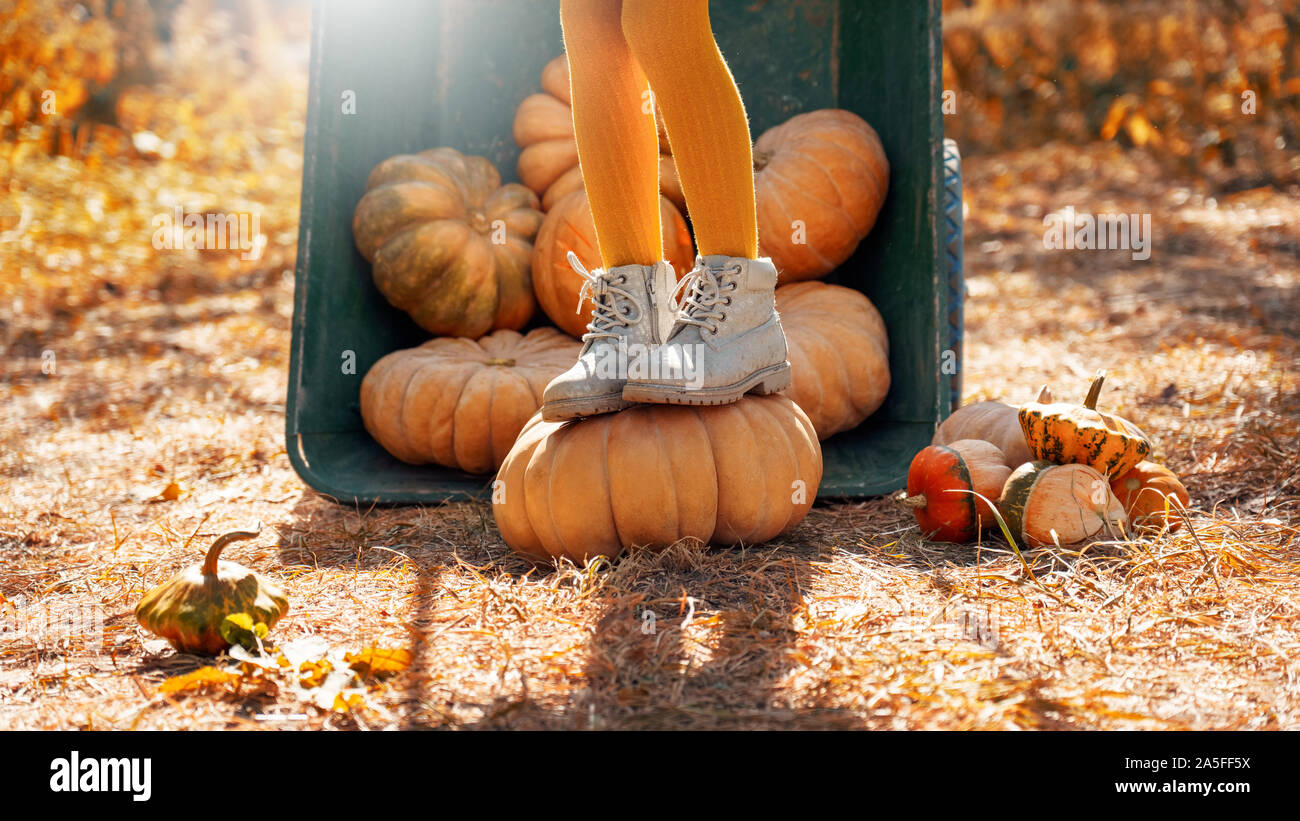 Small girl standing on ripe orange pumpkin Stock Photo - Alamy