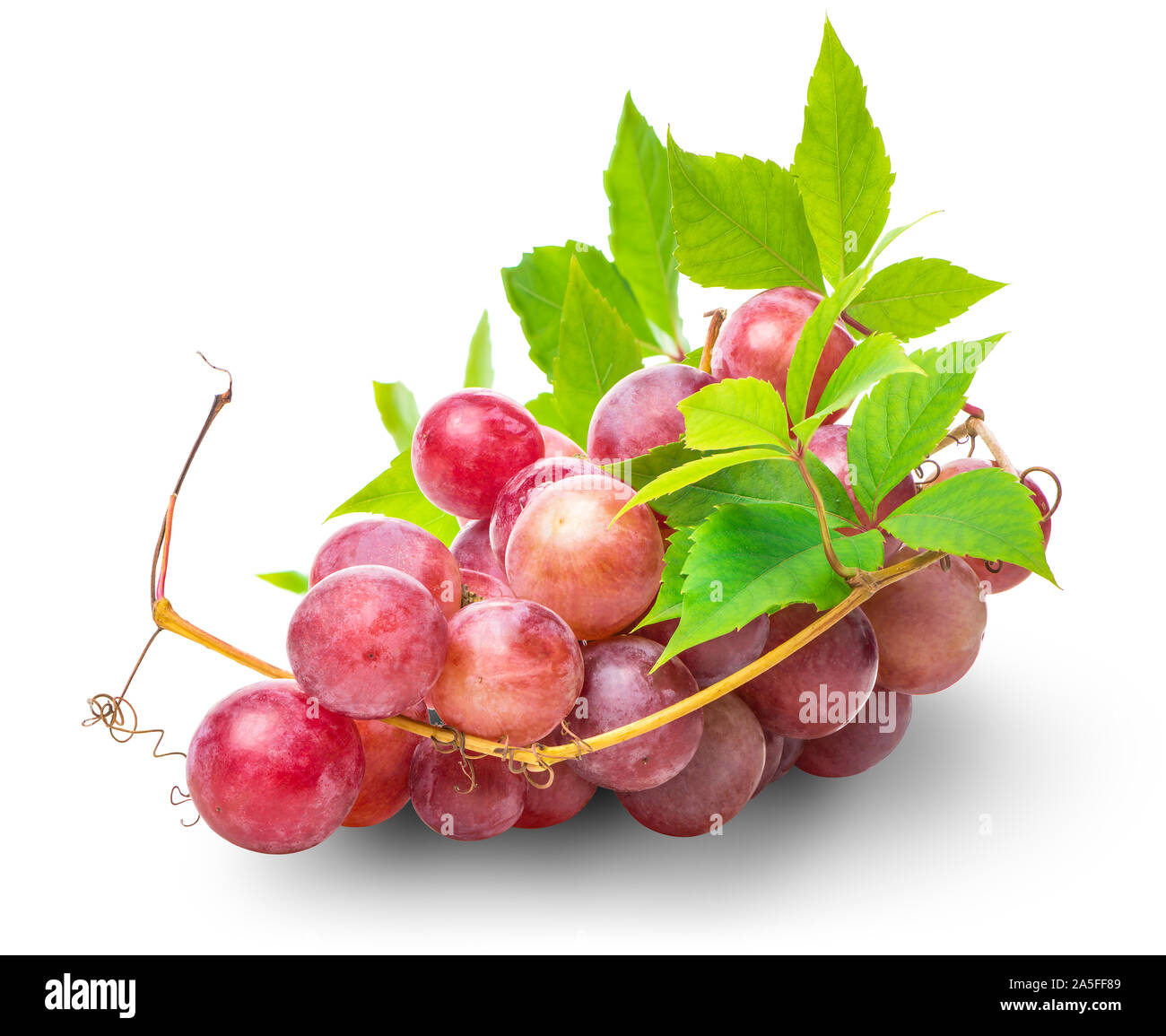 Bunch of pink grape isolated on a white background Stock Photo - Alamy