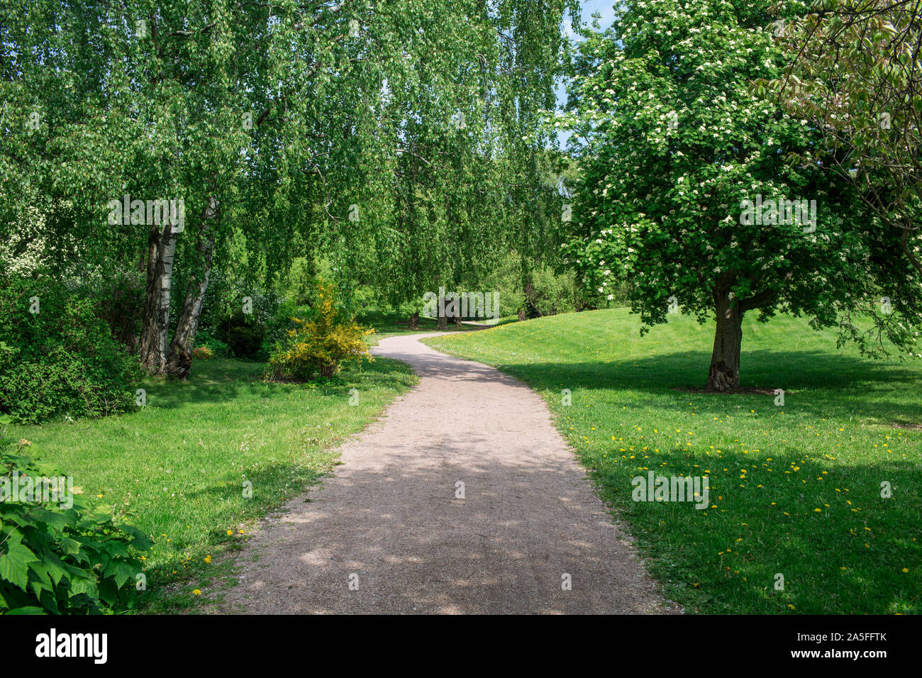 Beautiful Green Walking Path in the City Park During Summer in Helsinki ...