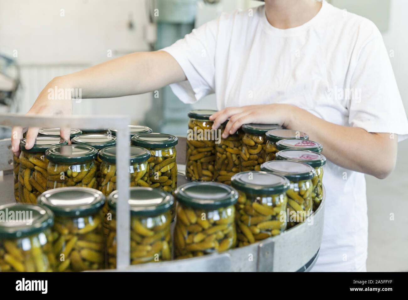 Cucumber pickle factory hi-res stock photography and images - Alamy
