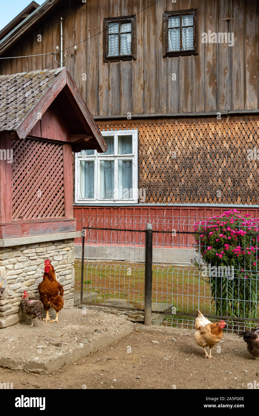 Typical rural architecture of Romania countryside with sunny green ...