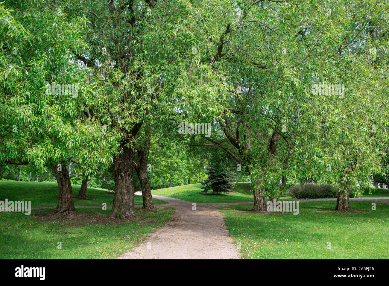 Beautiful Green Walking Path in the City Park During Summer in Helsinki ...
