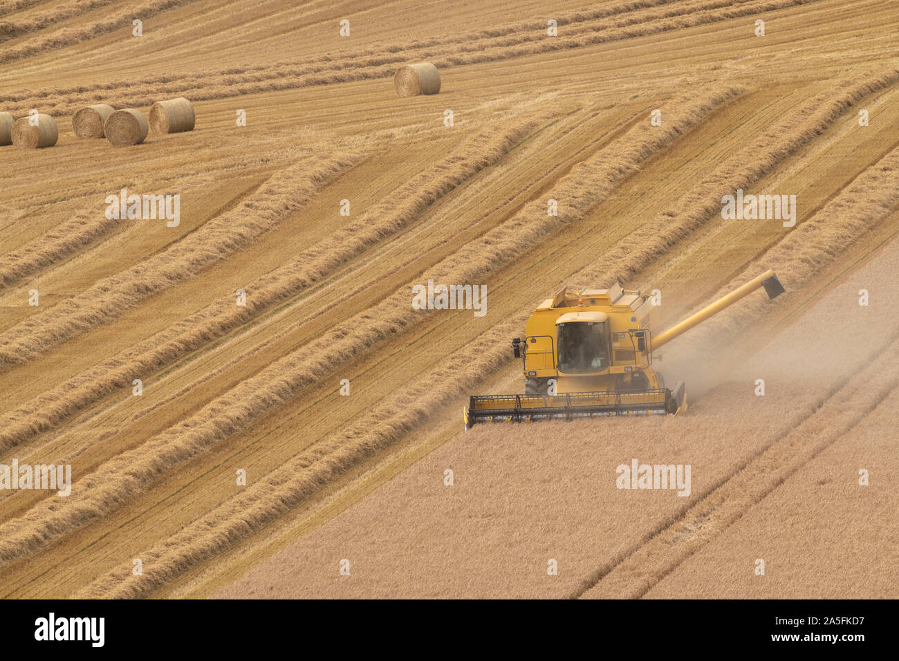 A Combine Harvester Working on a Hillside in Scotland with Straw Bales ...