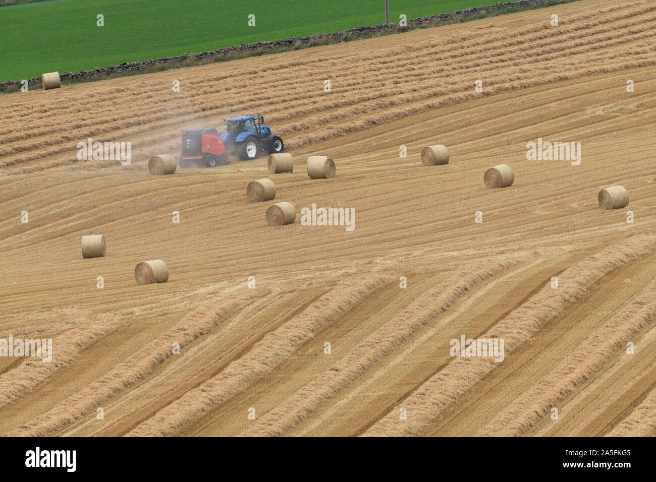 A Farmer Baling Straw in a Sloping Field with Straw Bales Awaiting ...