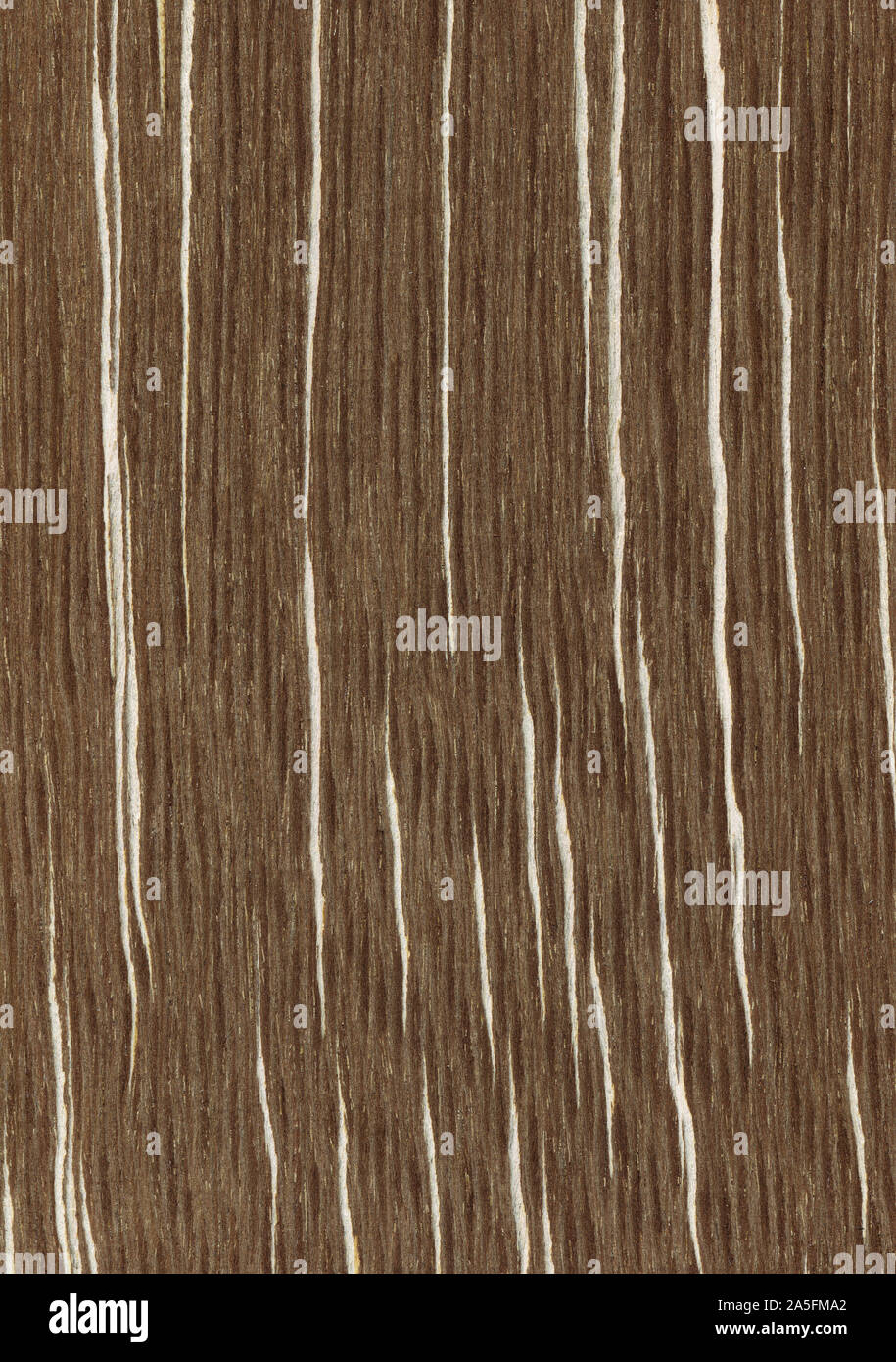 Zebrawood tree hi-res stock photography and images - Alamy
