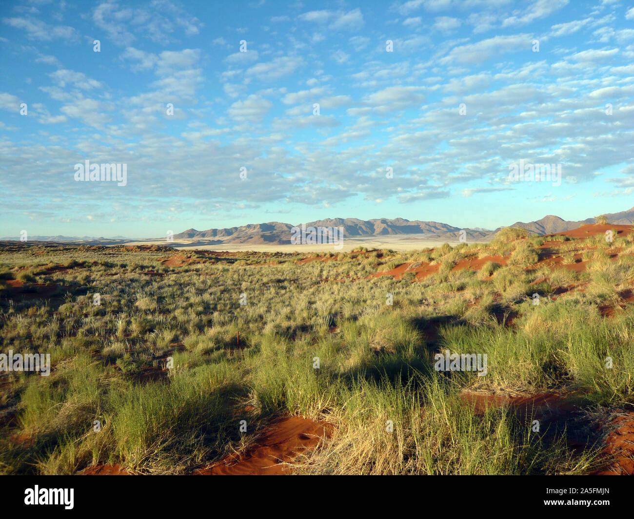 Kalahari landscape hi-res stock photography and images - Alamy