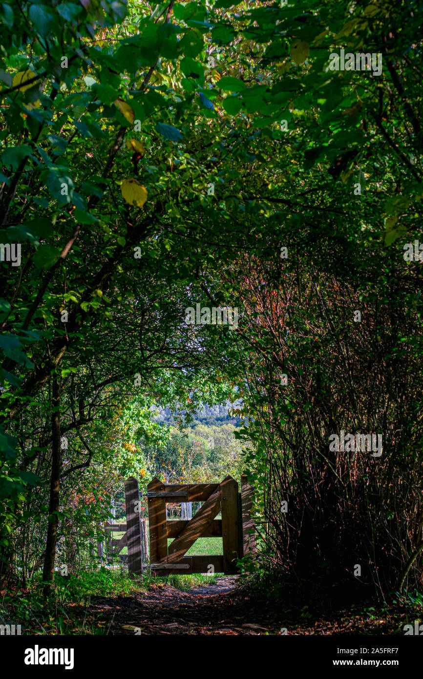 Mysterious gate hi-res stock photography and images - Alamy